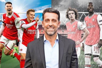 Todos los fanáticos del Arsenal dicen lo mismo después de ver una ...